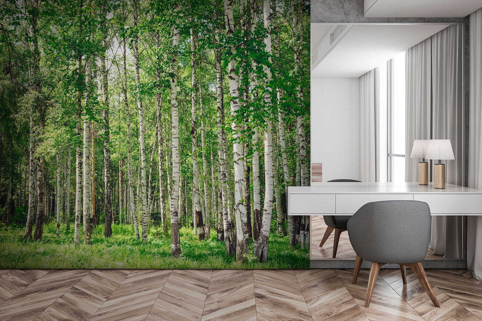 Wall murals Group of trees in a forest : u52530 - Tapeko.us