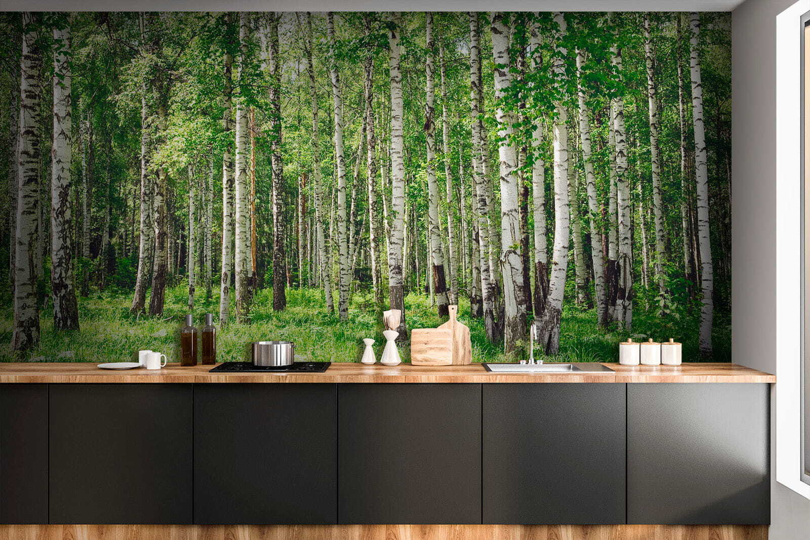 Wall murals Group of trees in a forest : u52530 - Tapeko.us
