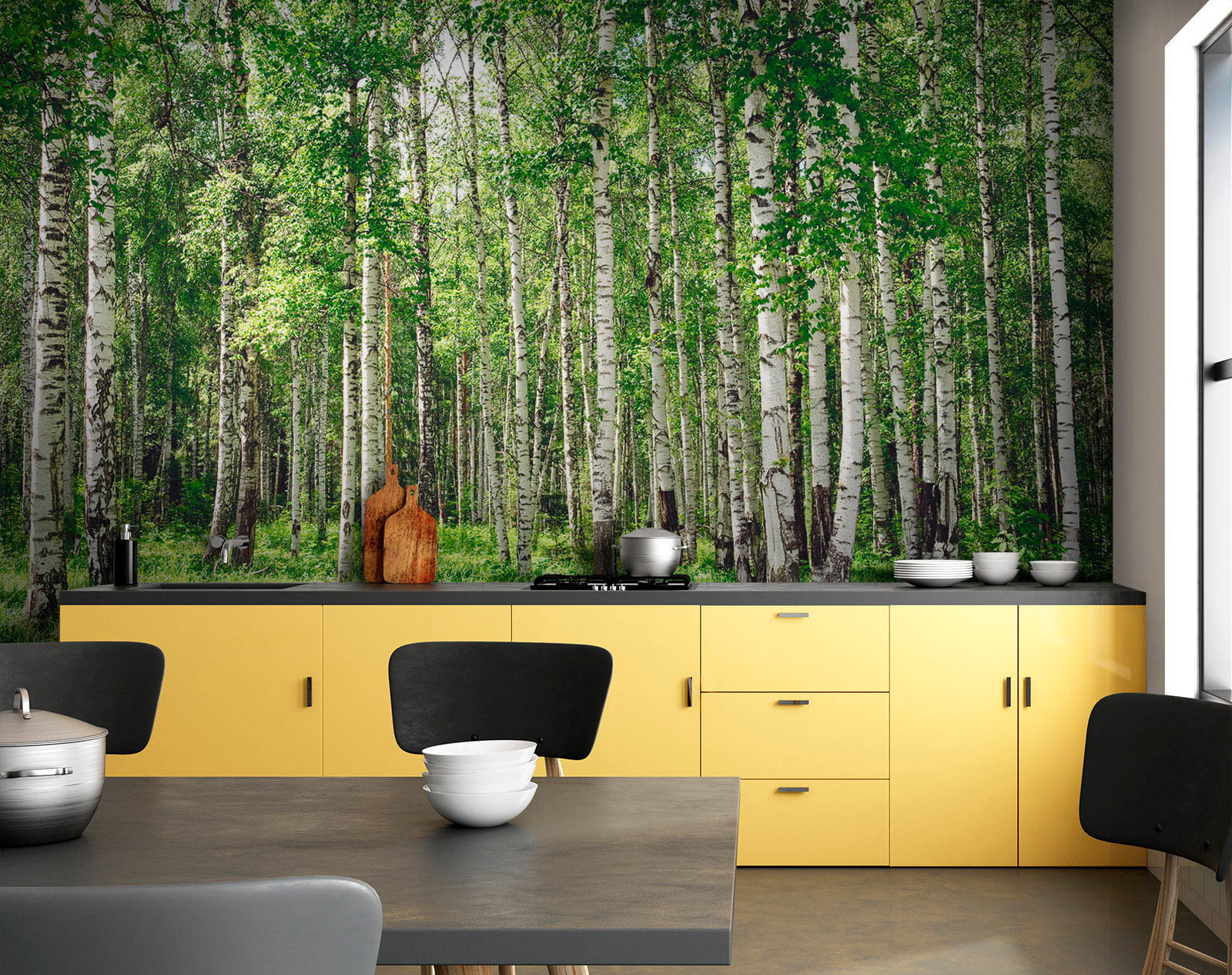 Wall murals Group of trees in a forest : u52530 - Tapeko.us